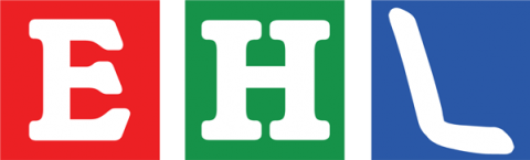 Eclectic Hockey League - Gears Beer